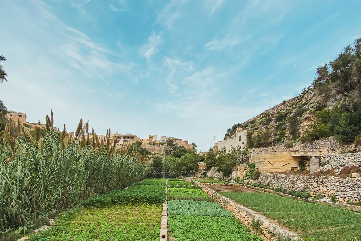 Gozo Holiday Home - THREE EXHILARATING WALKS IN GOZO’S COUNTRYSIDE