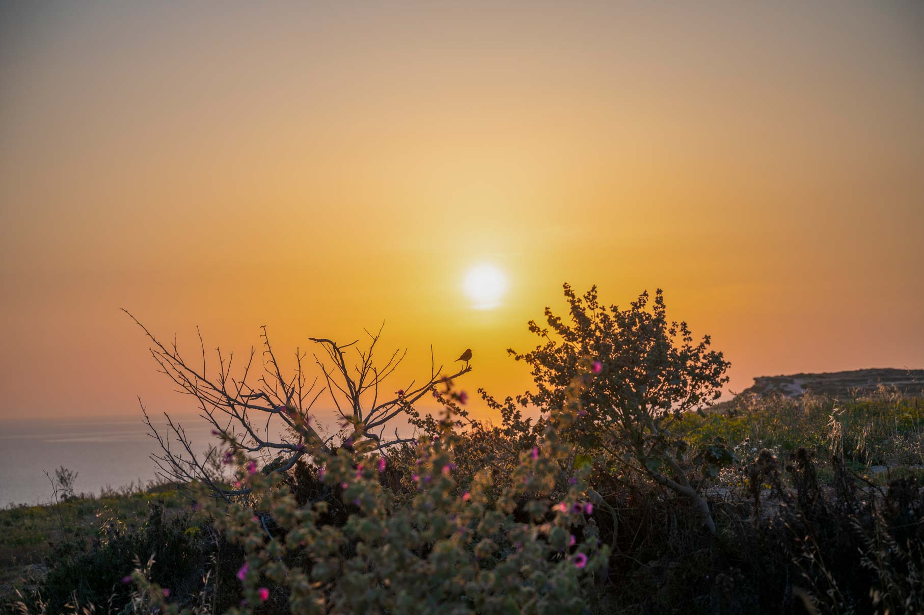 Gozo Holiday Home - Relax and recharge with a Gozo winter break